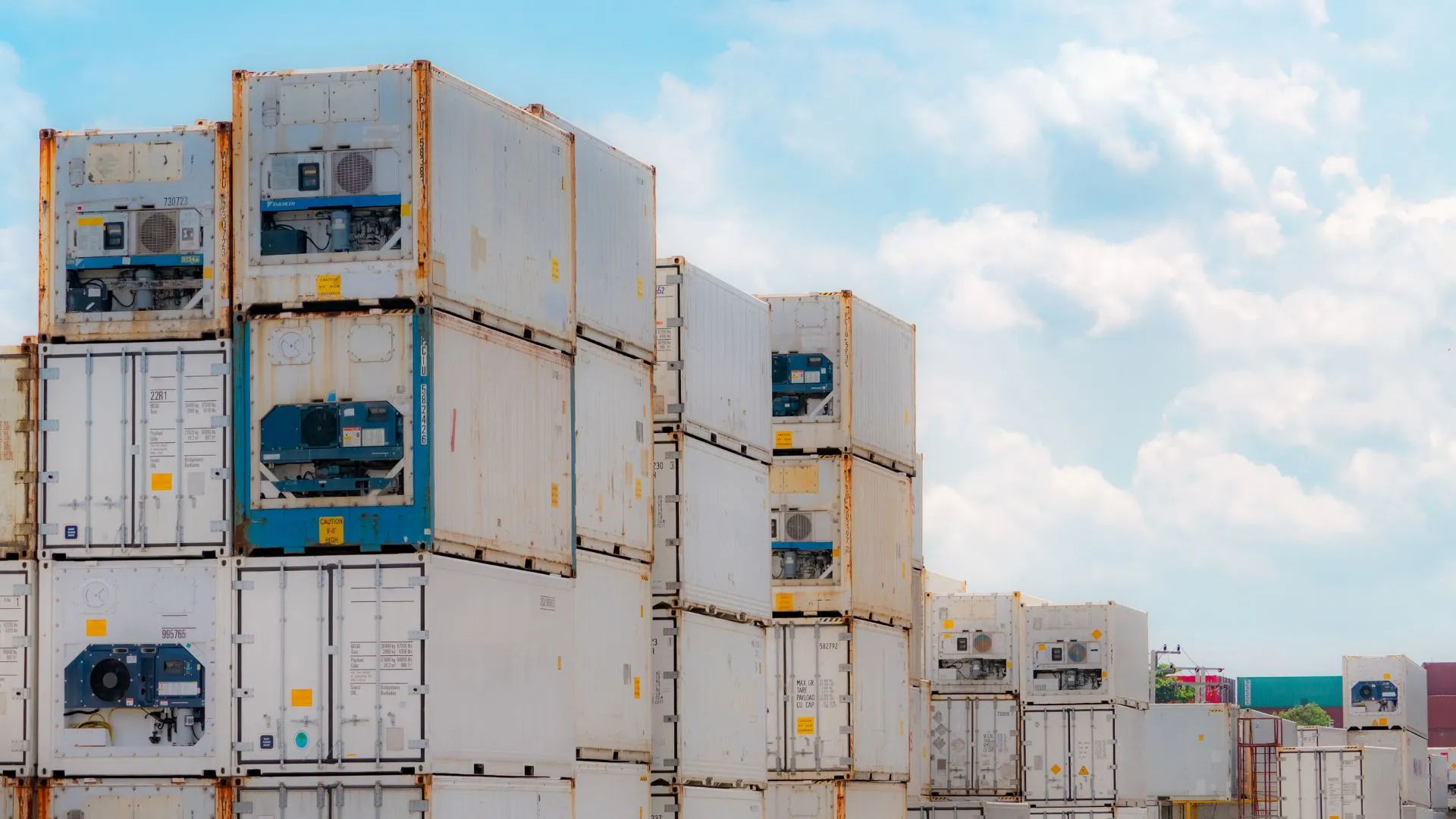 High Cube Reefer Containers for Sale 🌟 Ironclad Containers